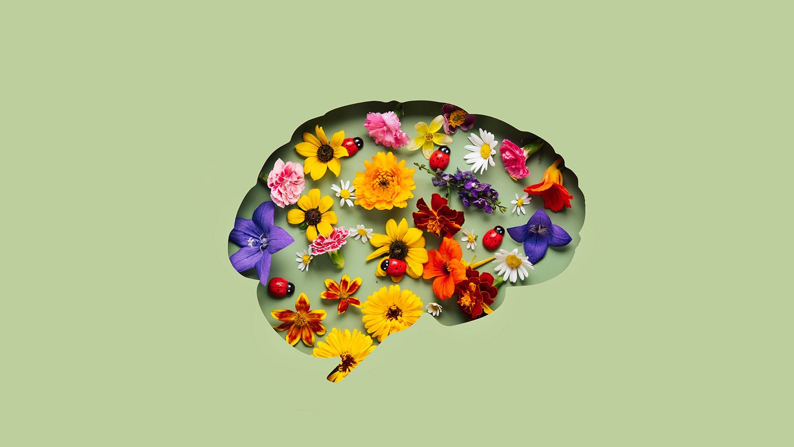 Setting Boundaries For Your Brain - The Chiropractic Centre